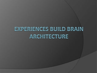 Experiences build brain architecture in child | PPT