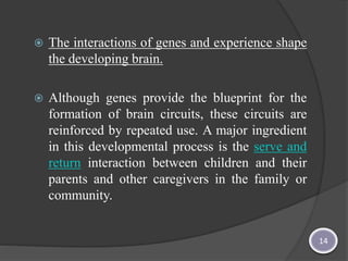 Experiences build brain architecture in child | PPTX