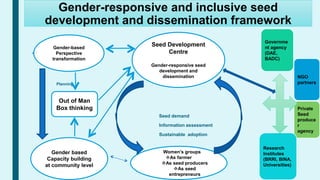 Experiences of irri in bd: women and seed | PPT