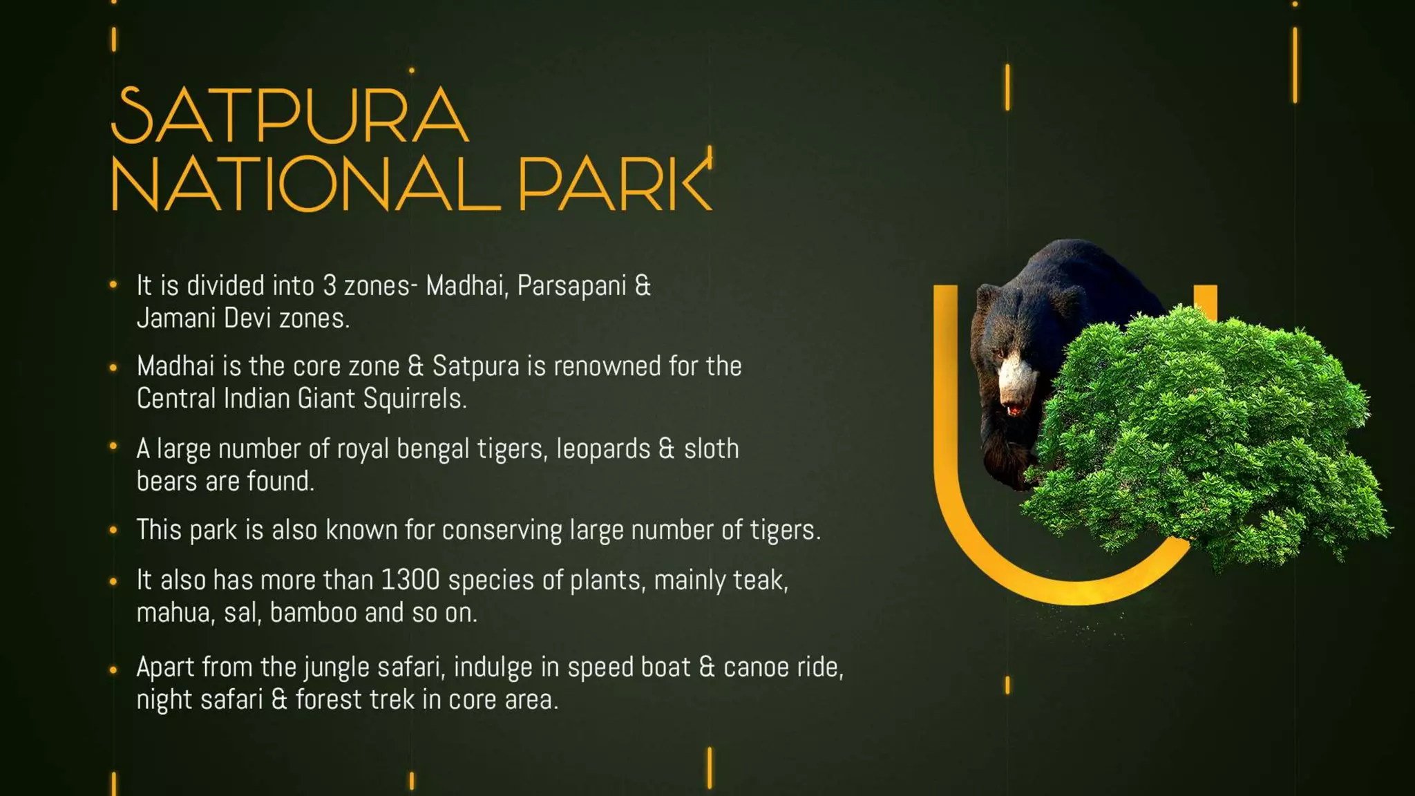 Experience the most thrilling safari ride in these mp parks | PPT