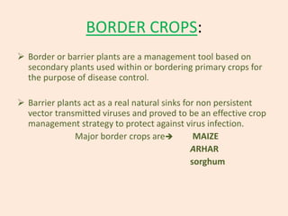 Experiential Learning Programme of Organic Production of Crops in ...