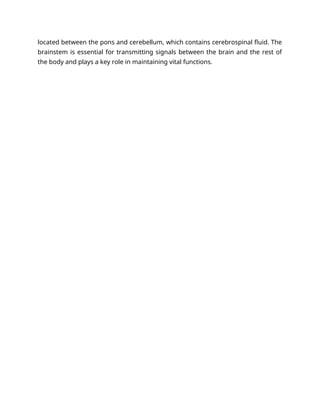 Gross examination of the brain and its different parts | DOCX