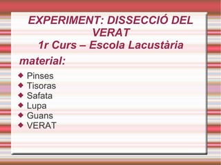 Experiment dissecció del verat | PPT