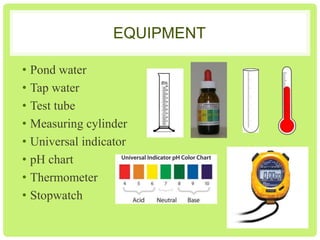 Experiment: Measuring abiotic features of the ecosystem | PPTX