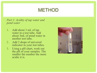 Experiment: Measuring abiotic features of the ecosystem | PPTX