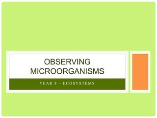 Experiment: Observing microorganisms | PPTX
