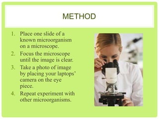 Experiment: Observing microorganisms | PPTX