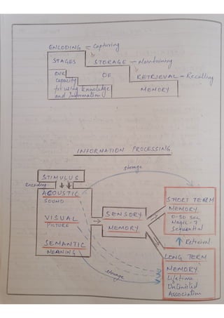 Experiment - Task Characteristics and Semantic Memory | PDF