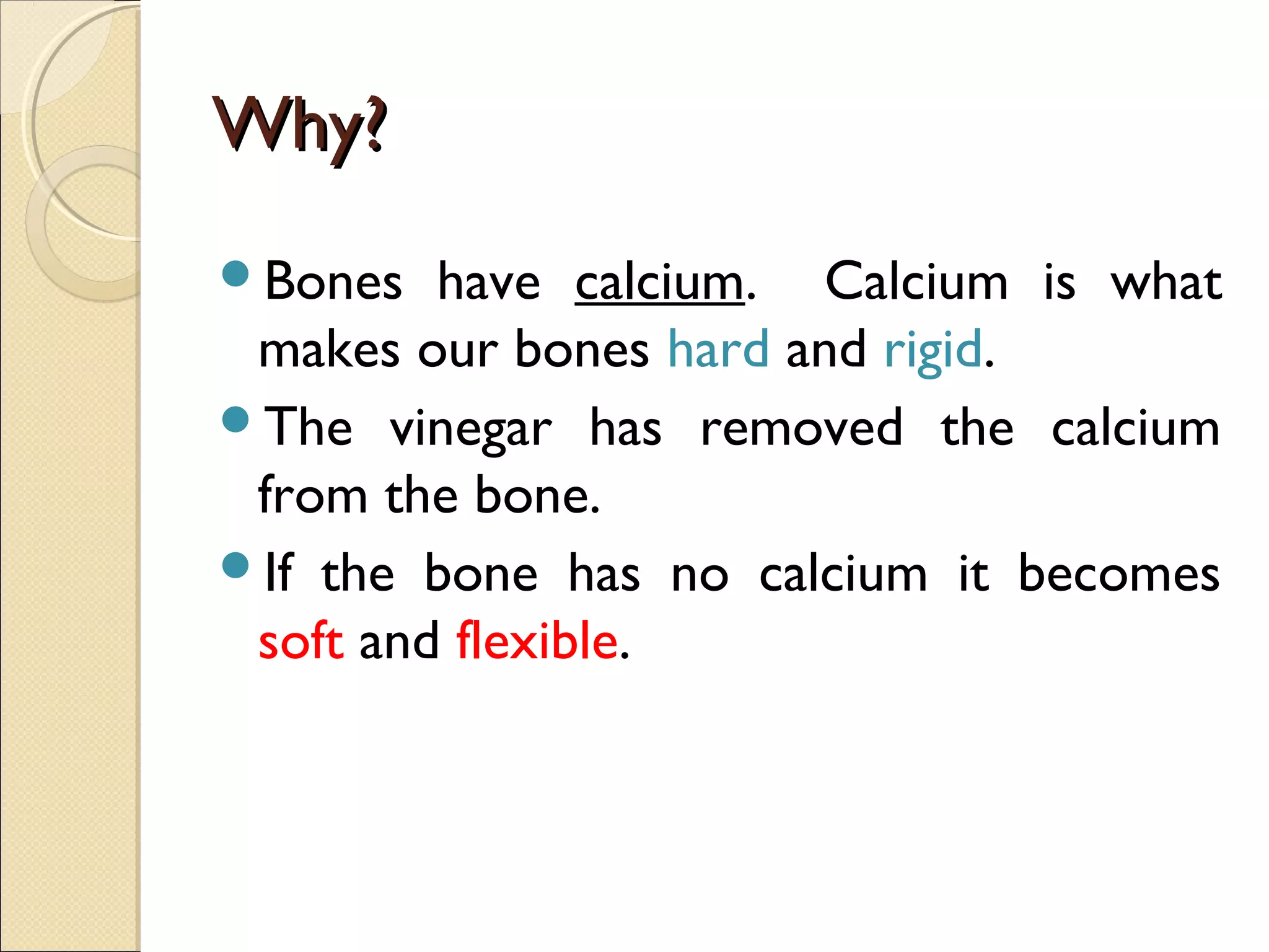 Bone experiment | PPT
