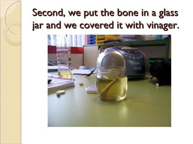 Bone experiment | PPT