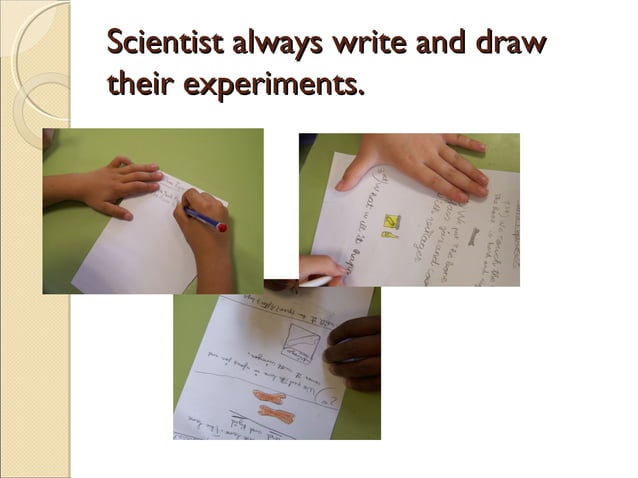 Bone experiment | PPT