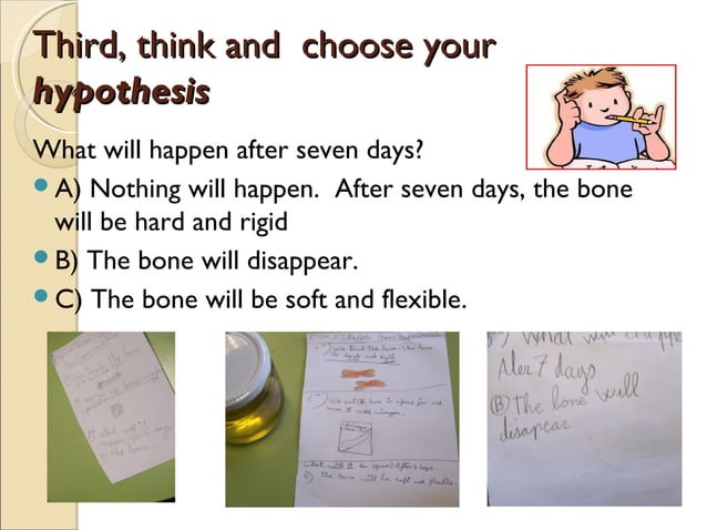 Bone experiment | PPT