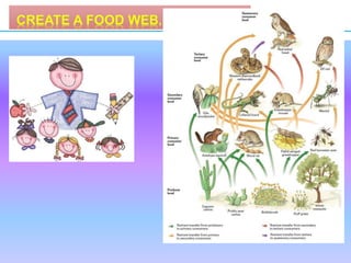 Experiment 4. Create your food web. | PPTX