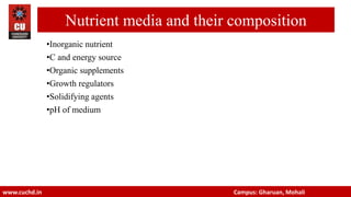 EXPERIMENT 4 stock solution nutrient medium.pptx