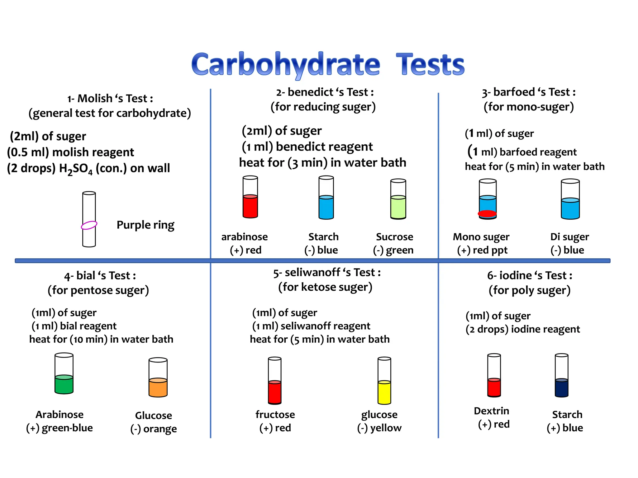 EXPERIMENT 5 - CARBOHYDRATES.pptx