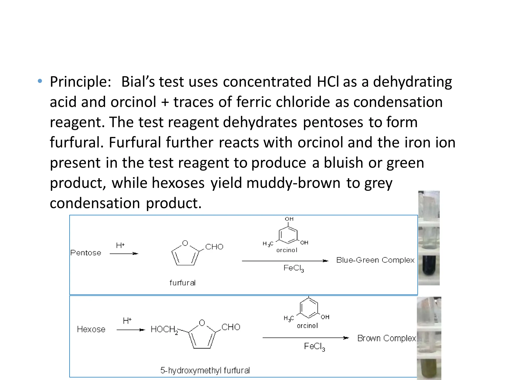 EXPERIMENT 5 - CARBOHYDRATES.pptx