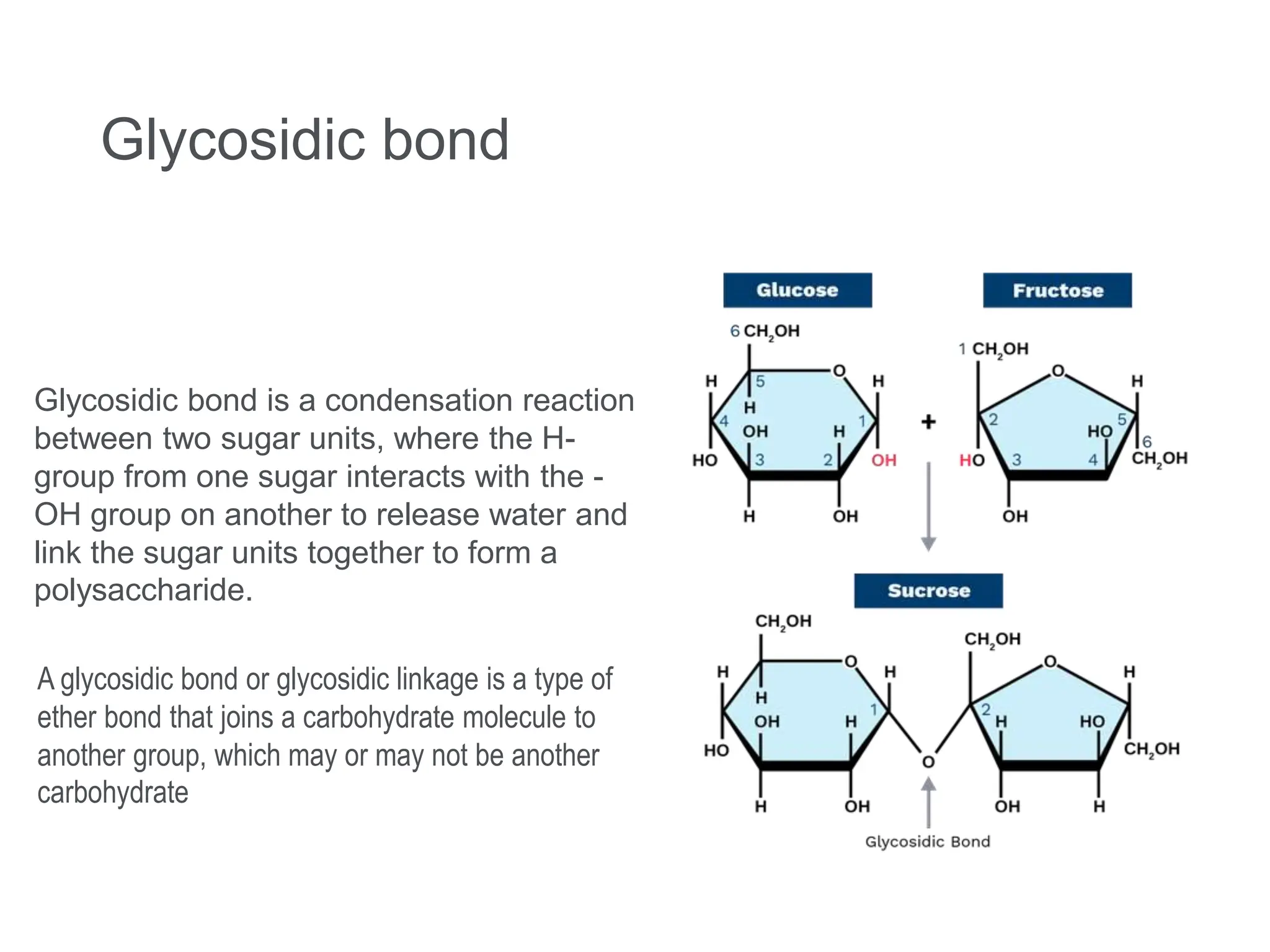 EXPERIMENT 5 - CARBOHYDRATES.pptx