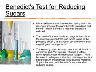 EXPERIMENT 5 - CARBOHYDRATES.pptx