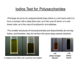 EXPERIMENT 5 - CARBOHYDRATES.pptx