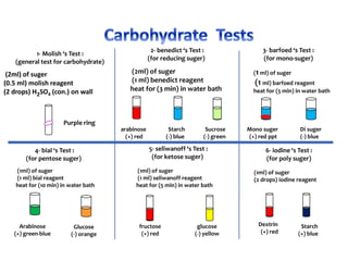 EXPERIMENT 5 - CARBOHYDRATES.pptx