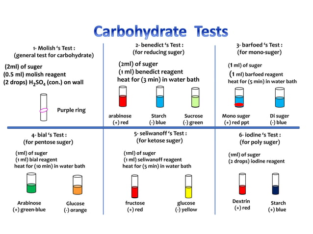 EXPERIMENT 5 - CARBOHYDRATES.pptx | Chemistry | Science