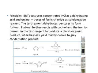 EXPERIMENT 5 - CARBOHYDRATES.pptx