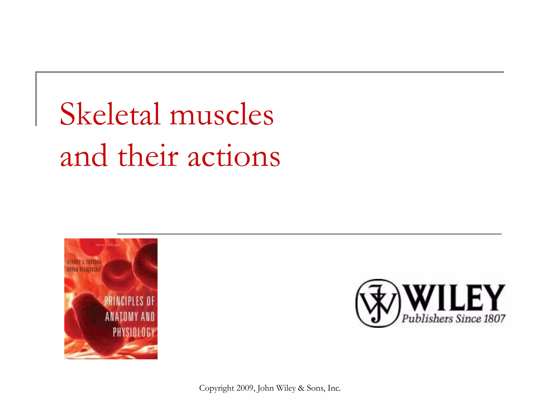 Skeletal muscles ppt.pptx
