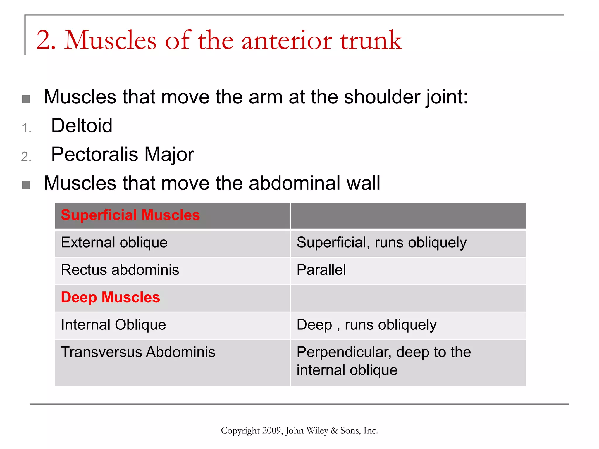 Skeletal muscles ppt.pptx
