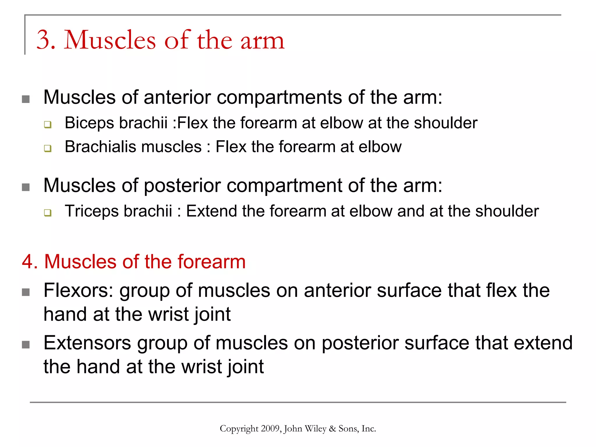 Skeletal muscles ppt.pptx