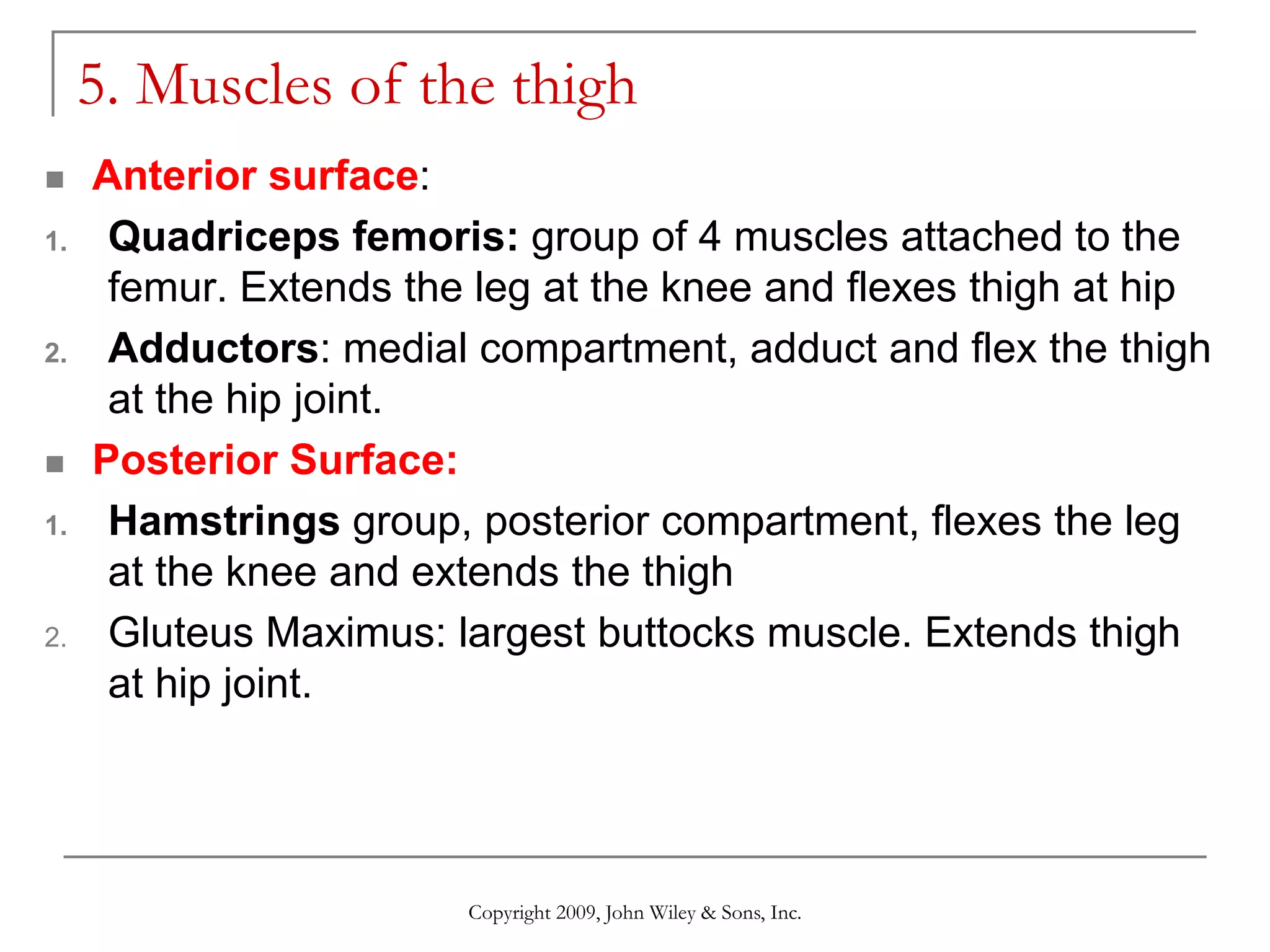 Skeletal muscles ppt.pptx
