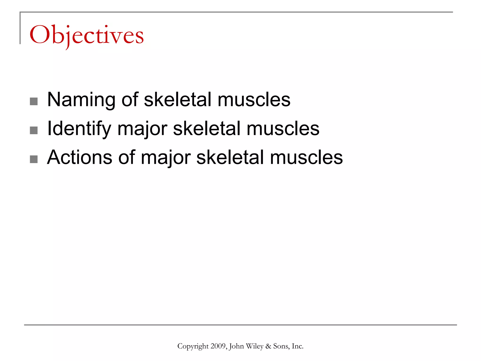Skeletal muscles ppt.pptx