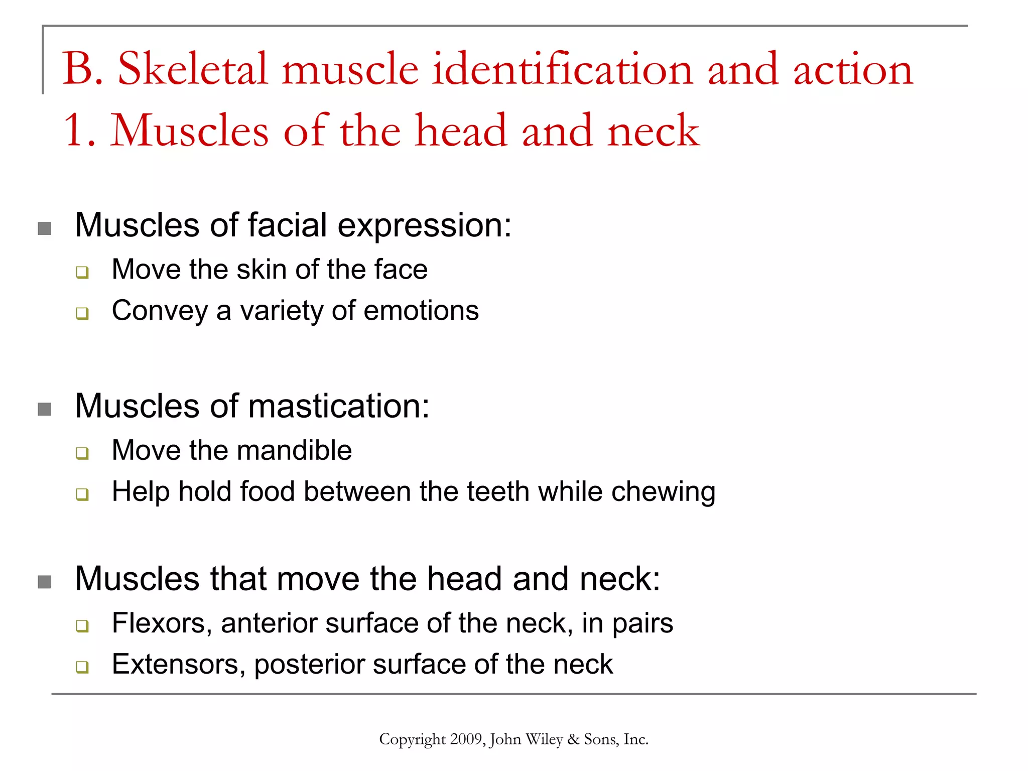 Skeletal muscles ppt.pptx