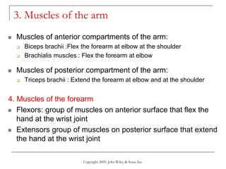 Skeletal muscles ppt.pptx