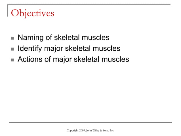 Skeletal muscles ppt.pptx
