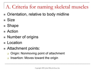 Skeletal muscles ppt.pptx