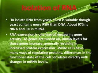 Experiment #6 rna. khafi | PPTX