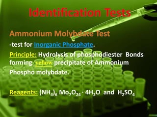 Experiment #6 rna. khafi | PPT