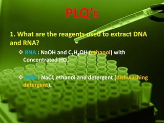 Experiment #7 dna. khafi | PPTX