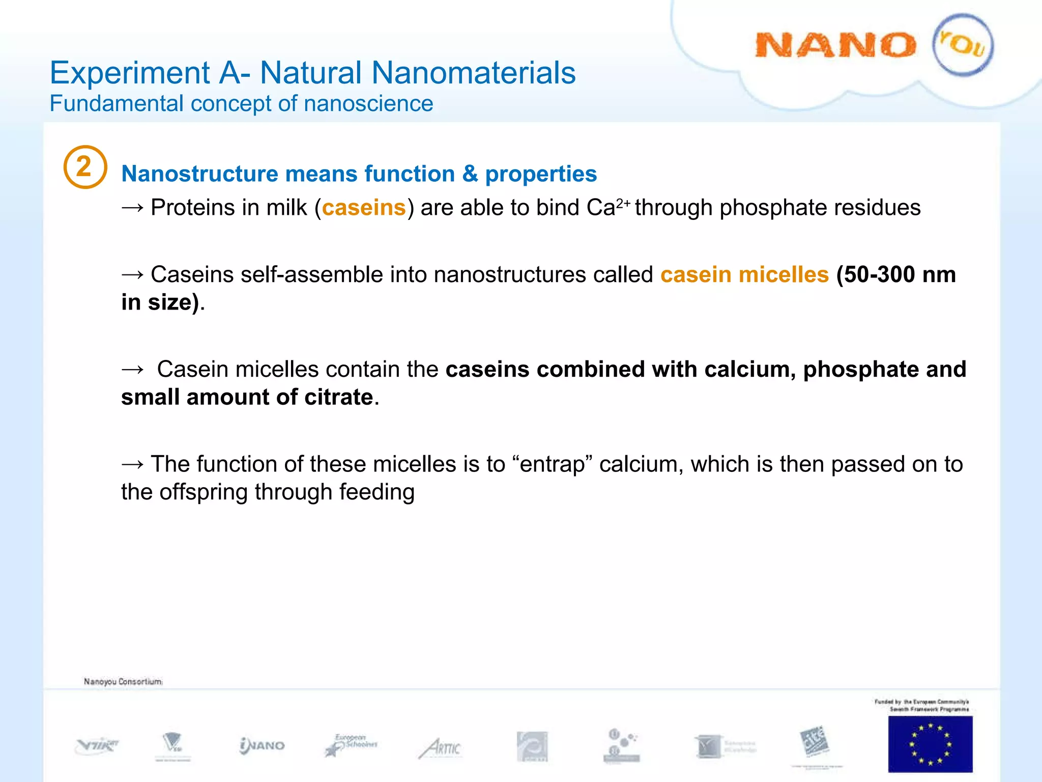Experiment with natural nanomaterials - nanotechnology | PPT ...