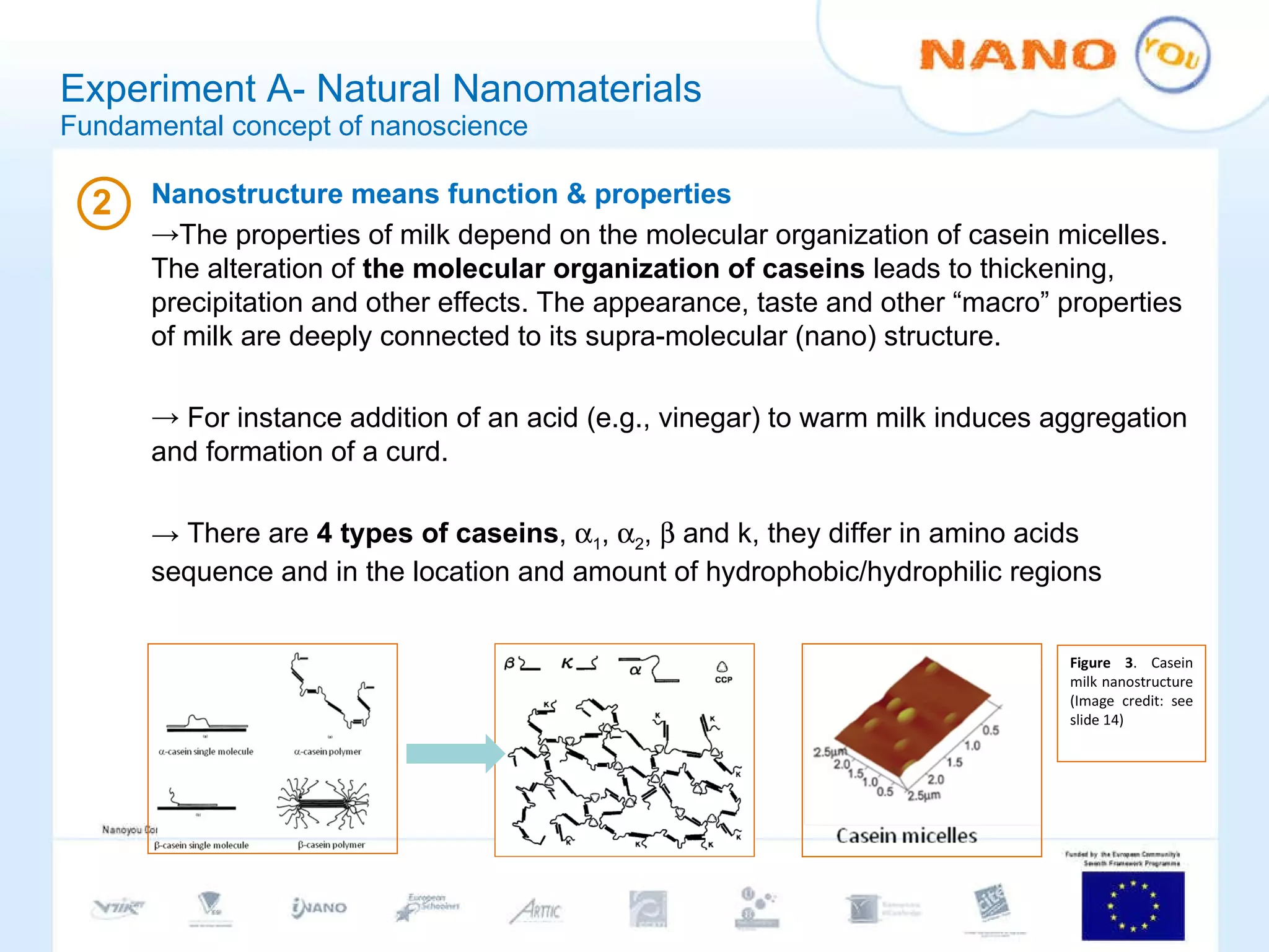 Experiment with natural nanomaterials - nanotechnology | PPT ...