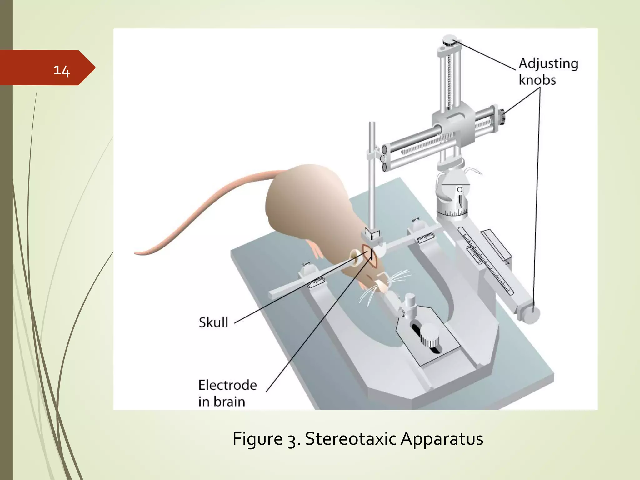 Experimental Ablation | PPTX