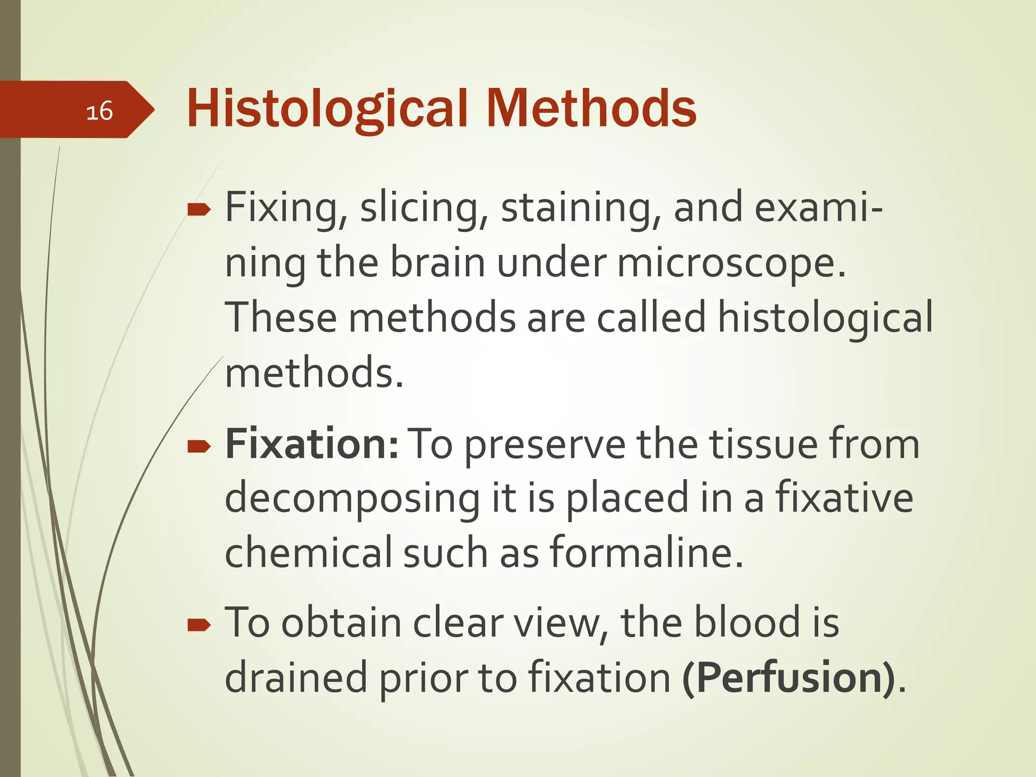 Experimental Ablation | PPTX