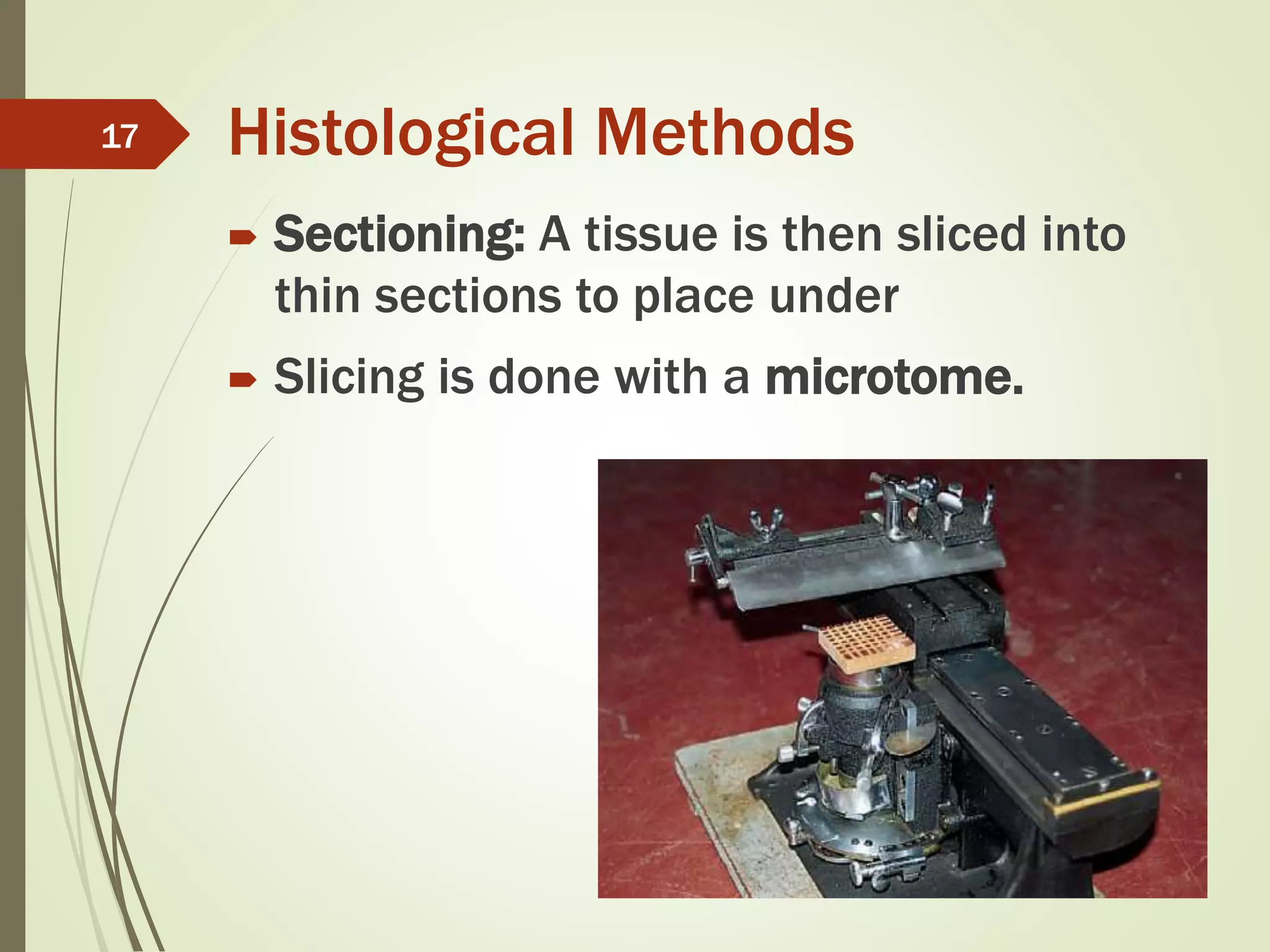 Experimental Ablation | PPTX