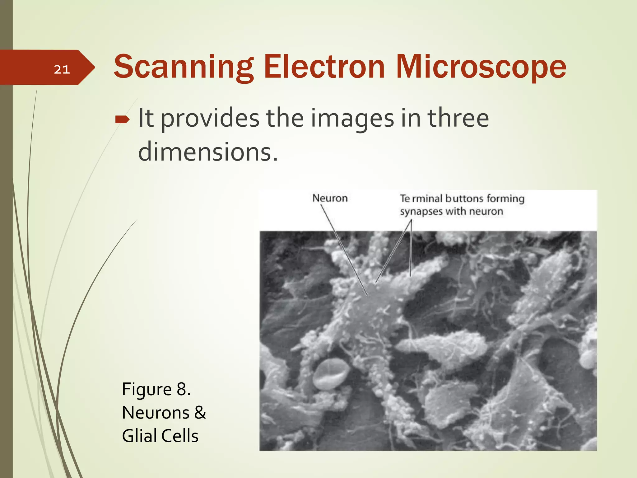 Experimental Ablation | PPTX