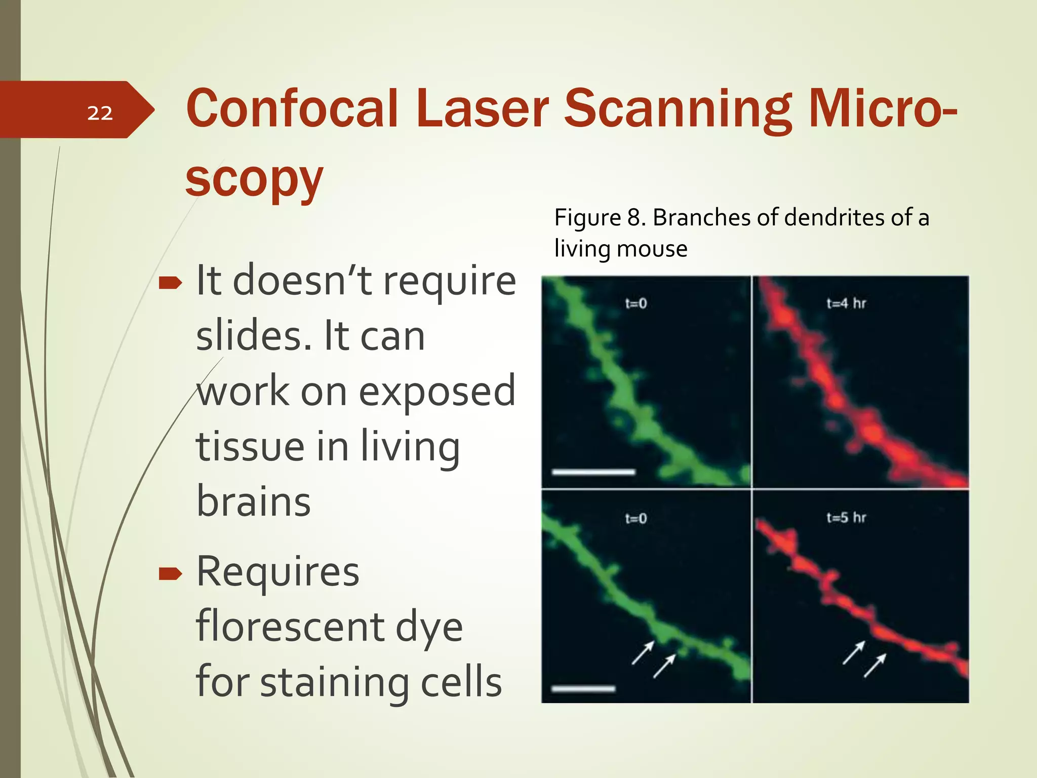 Experimental Ablation | PPTX