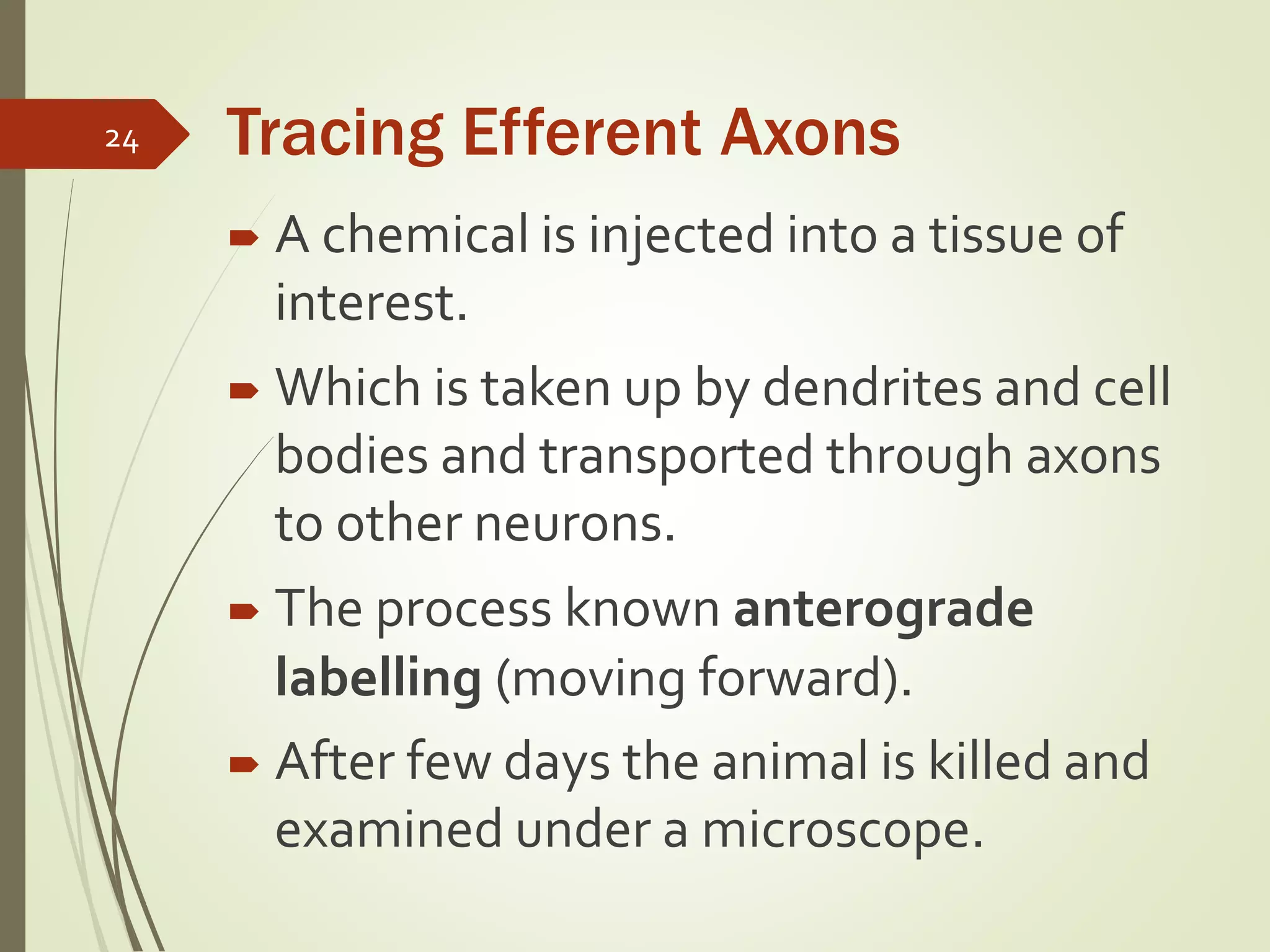 Experimental Ablation | PPTX