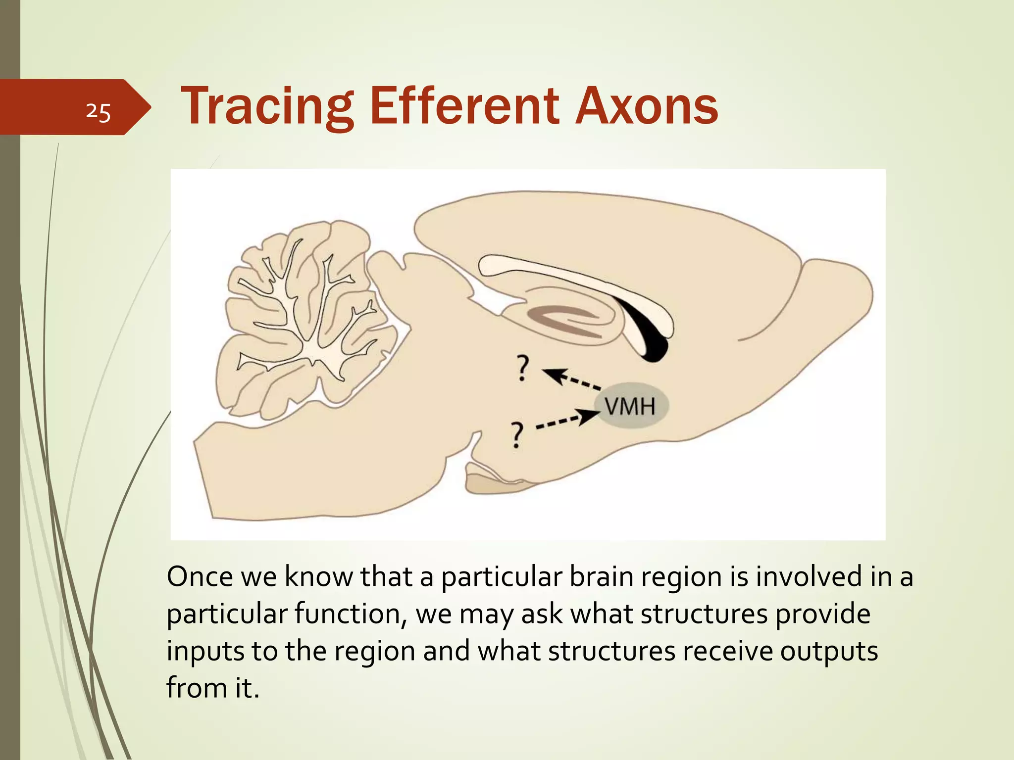 Experimental Ablation | PPTX