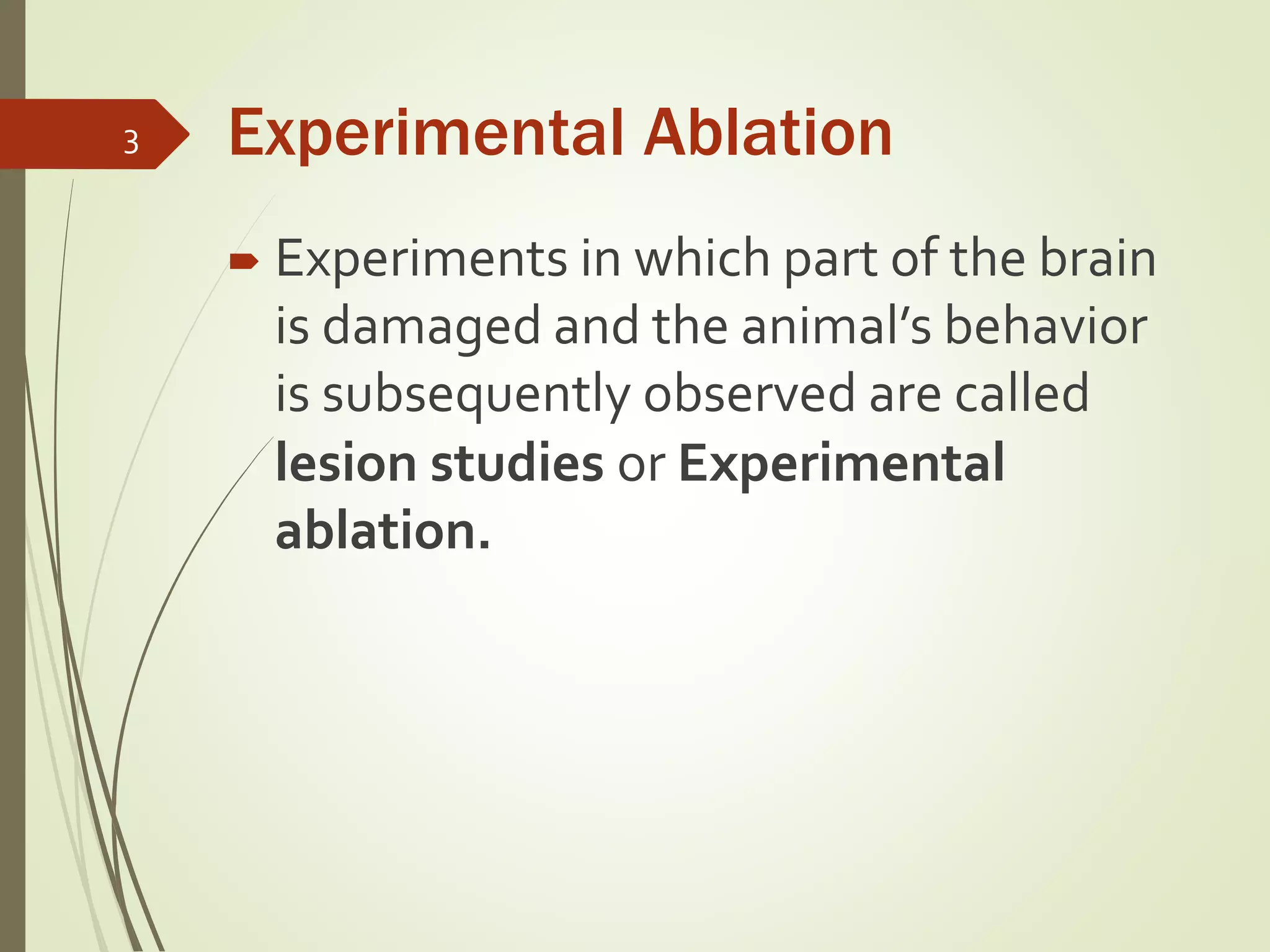 Experimental Ablation | PPTX