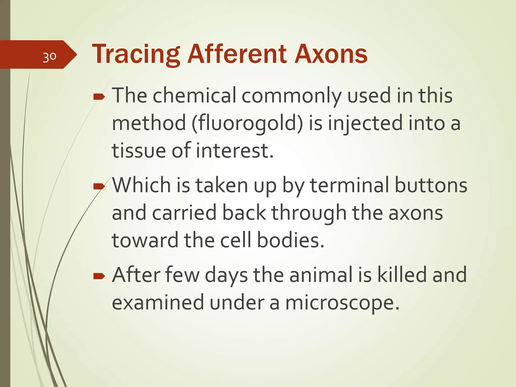 Experimental Ablation | PPTX