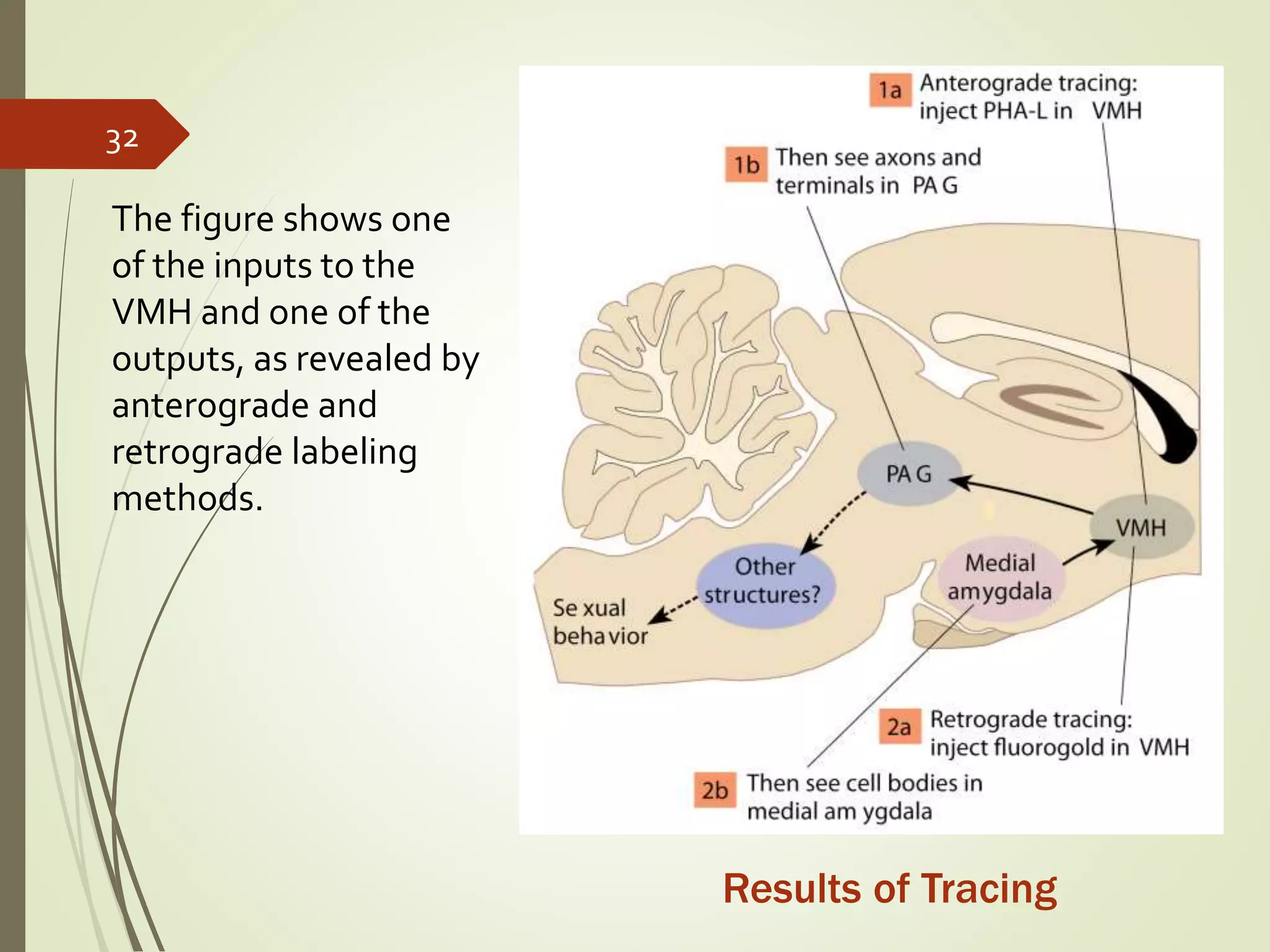 Experimental Ablation | PPTX